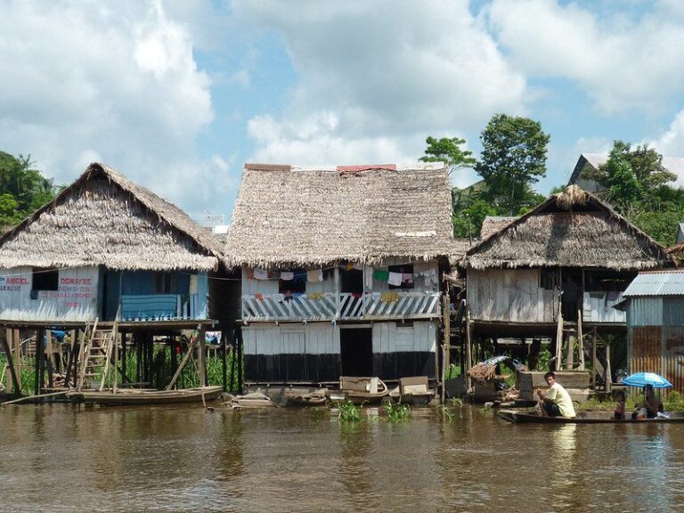 Amazon Cities: Urban Life in the Heart of the Rainforest and Ancient ...